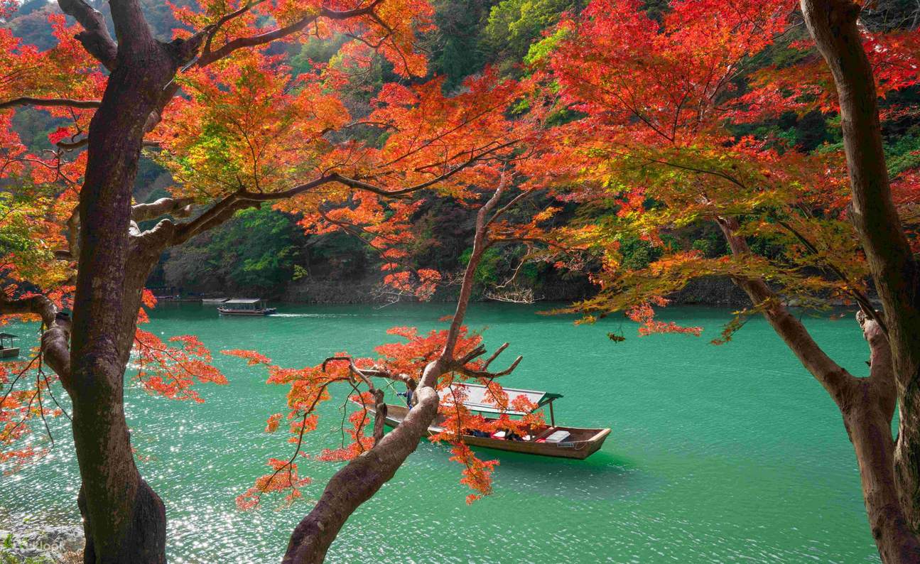 [Kyoto Nara Arashiyama Sagano Scenic Railway Cherry Blossom One-Day Tour] Hotel Pick-up ...